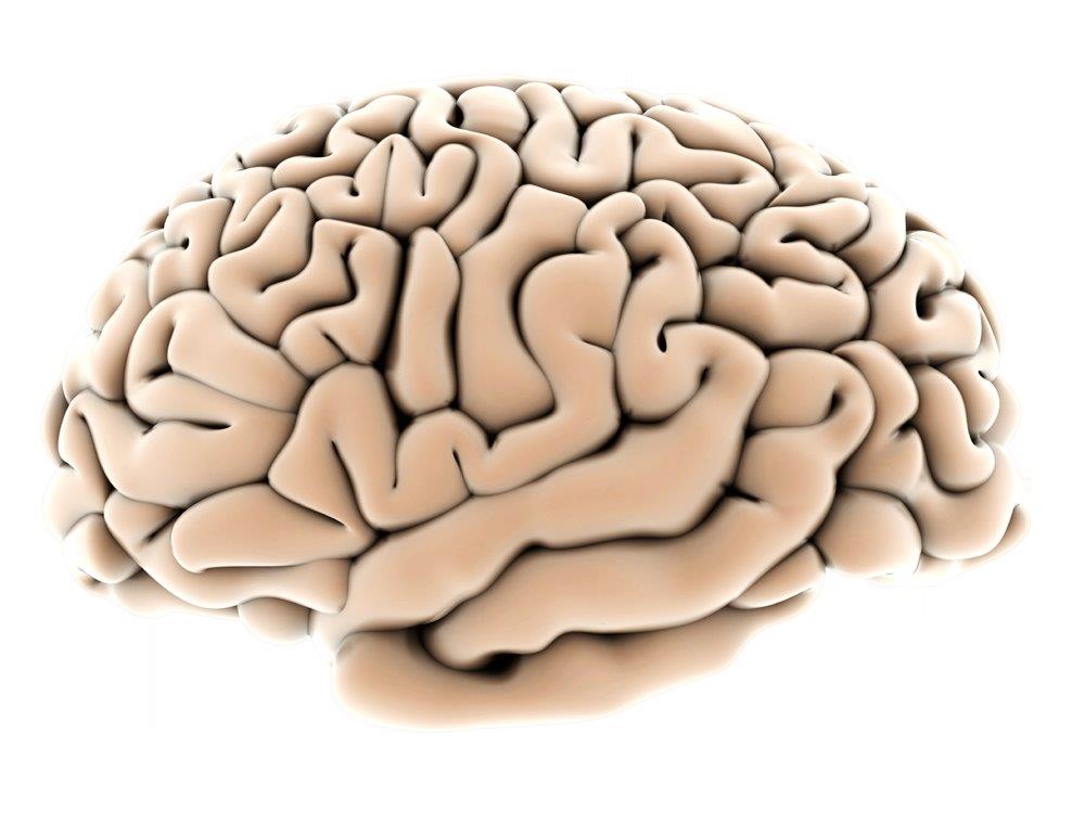 Ebrain granted Royal College of Physicians (UK) CPD/CME accreditation ...