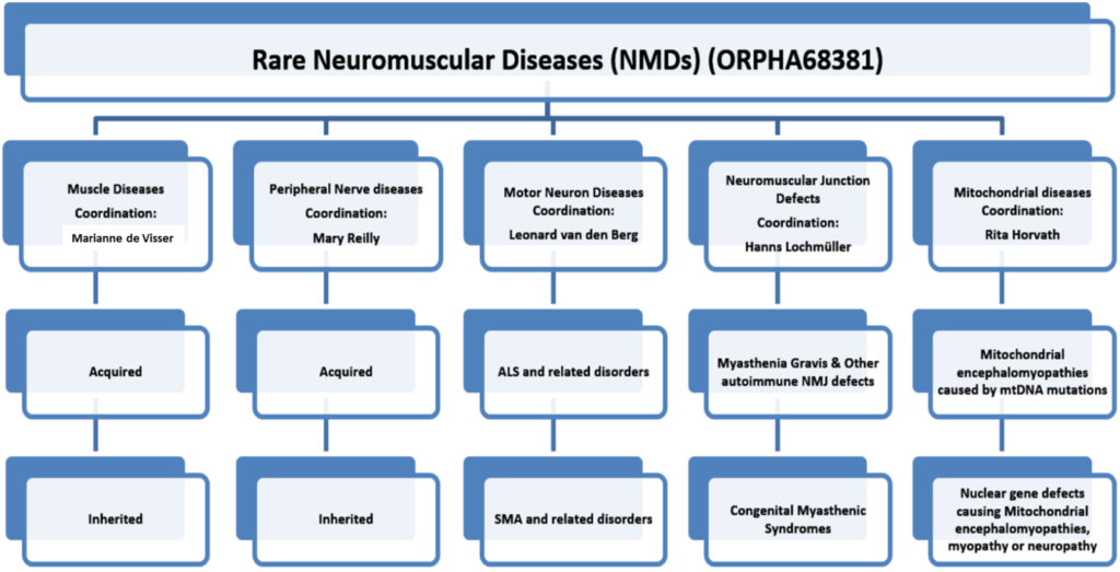 Interview with Teresinha Evangelista on the European Reference Networks ...