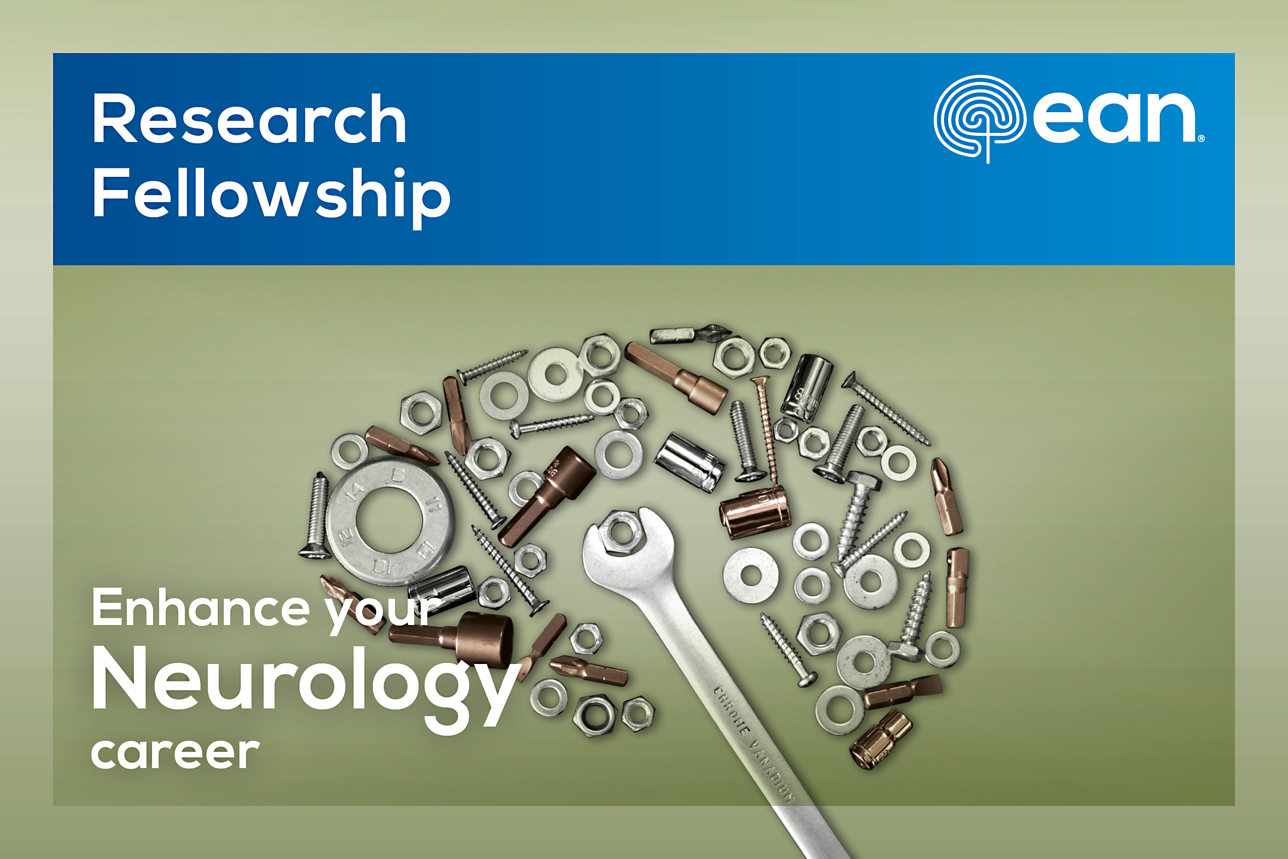 Research Fellowship 2025 – apply now until 31 August 2024 - eanNews