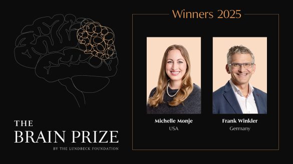 Pioneering research into brain cancer is awarded the world’s largest ...